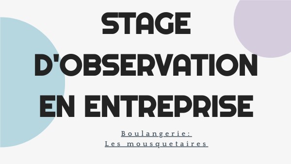 Internship presentation | Genially