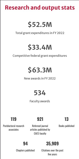 Research and output stats | Genially