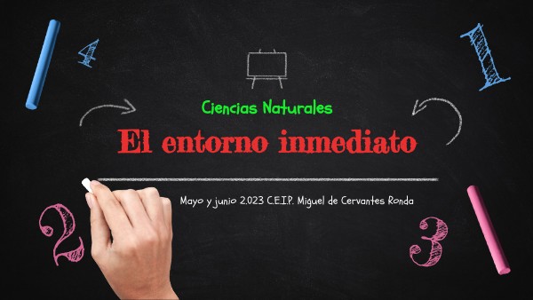 El entorno inmediato