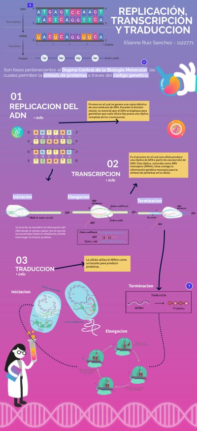 Replicacion, transcripcion y traduccion - Elianne Ruiz Sanchez | Genially