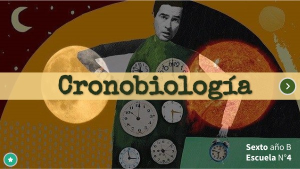 Cronobiología. 6°B. Escuela N°4. Año 2023