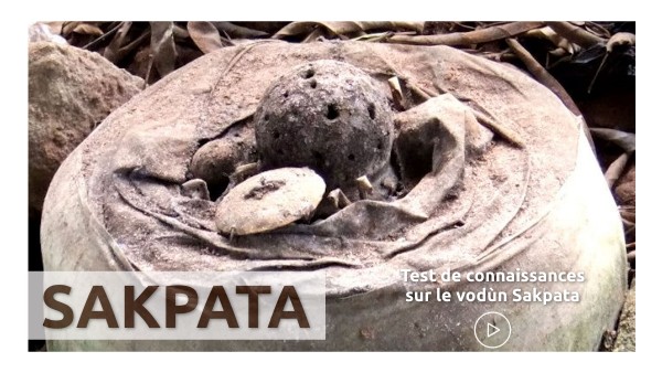 QUESTIONNAIRE SUR SAKPATA
