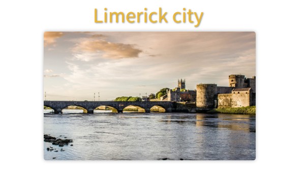 Limerick city
