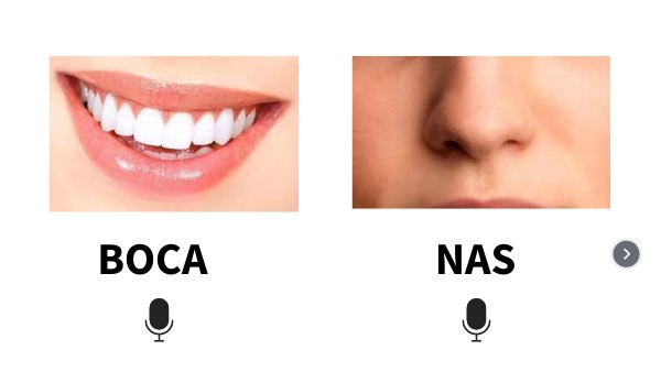 PARTS DEL COS | Genially