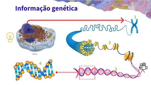 Informação Genética