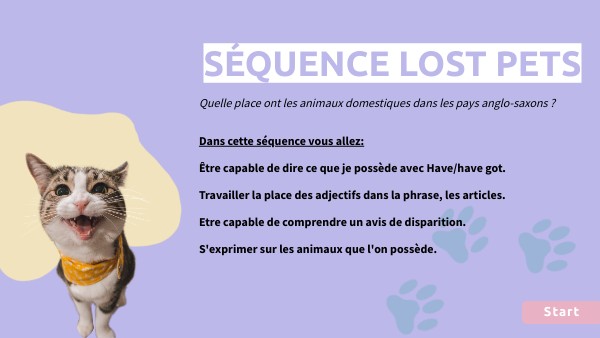 6e Séquence Lost Pets | Genially