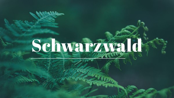 NATURE PRESENTATION | Genially