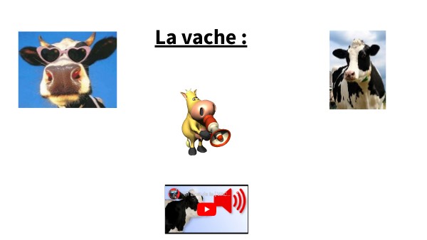 La vache