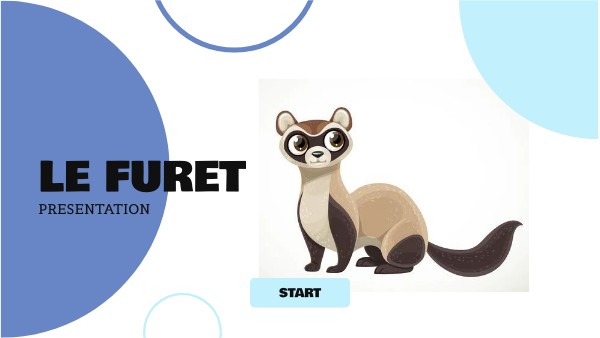 furet presentation | Genially