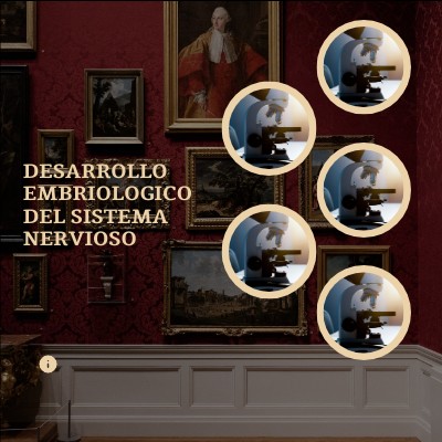 INFOGRAFIA DESARROLLO EMBRIOLOGICO DEL SISTEMA NERVIOSO | Genially