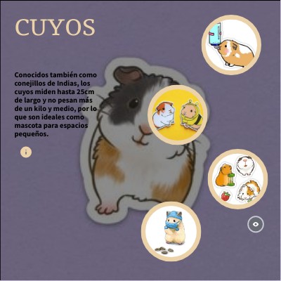 Cuyo | Genially