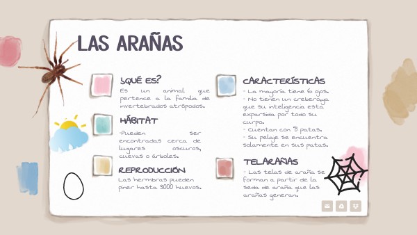 Las arañas | Genially