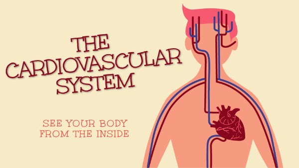 HUMAN BODY PRESENTATION