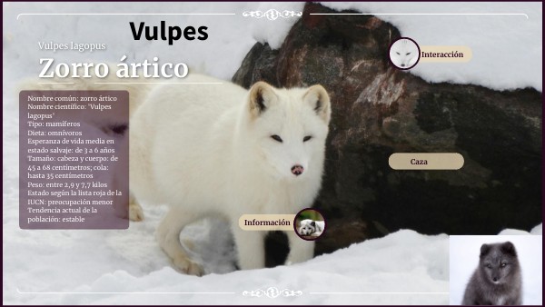 Zorro ártico | Genially