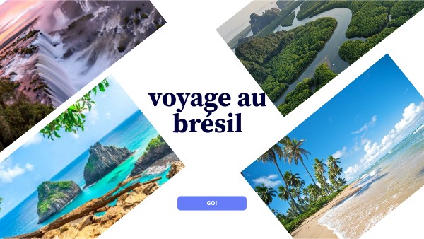 Copie - BASIC PRESENTATION