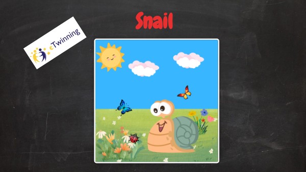 Snail | Genially