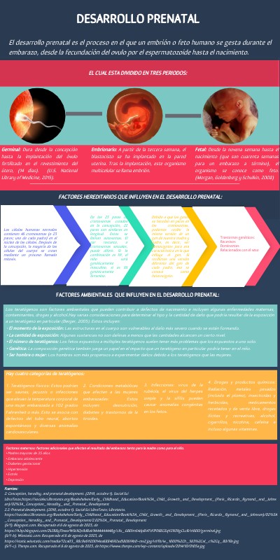 DESARROLLO PRENATAL