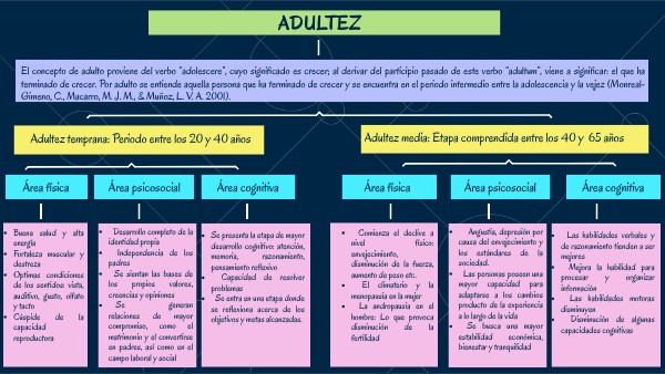 MAPA CONCEPTUAL ADULTEZ | Genially