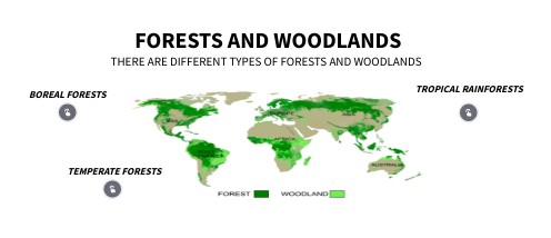 FORESTS AND WOODLANDS