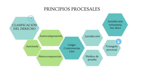 PRINCIPIOS PROCESALES | Genially