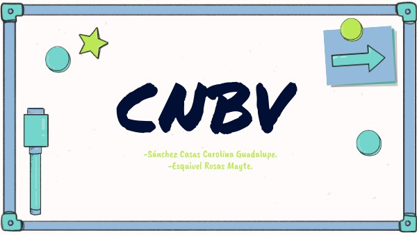 CNBV -Sánchez Casas Carolina Guadalupe y Esquivel Rosas Mayte 3131