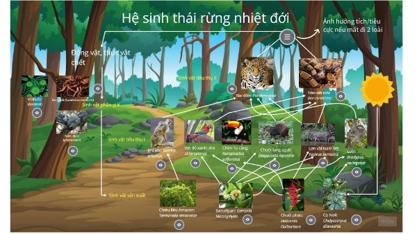 9F1_N7_Infographic Sinh | Genially