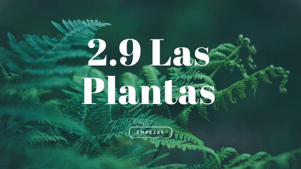 Las plantas
