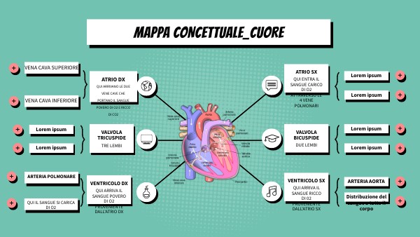 BRAIN MINDMAP | Genially