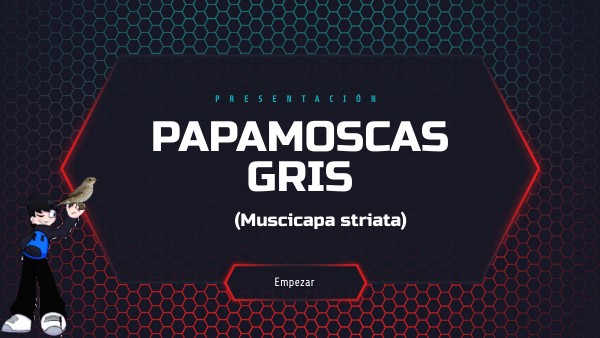 Papamoscas gris