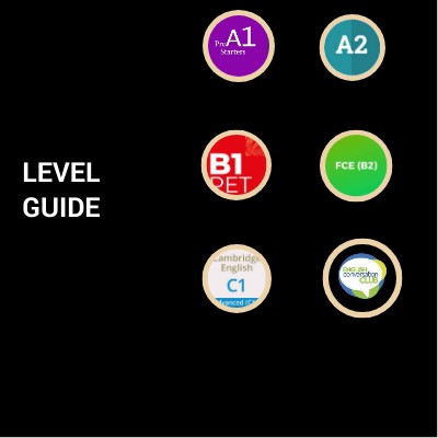 level guide | Genially