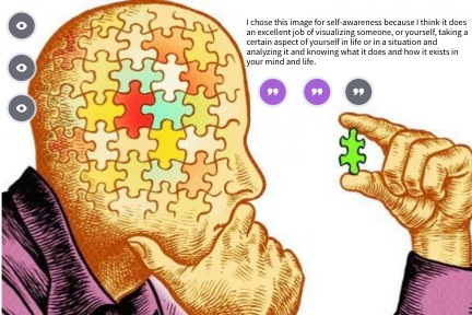 emilyiliff/selfawarenessBUSM