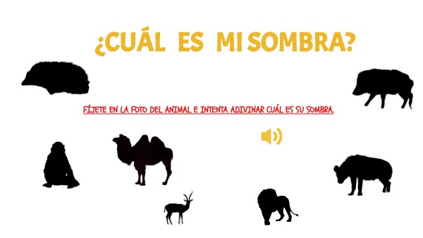 ¿CUÁL ES MI SOMBRA?