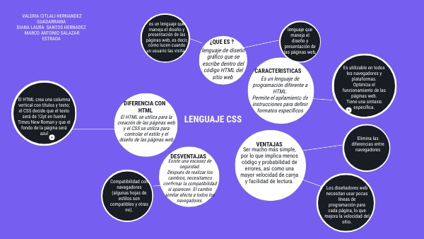 MAPA CONCEPTUAL CIRCULAR