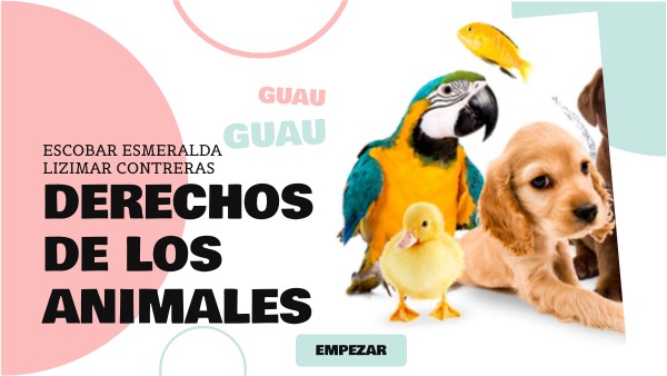 Derechos de los animales