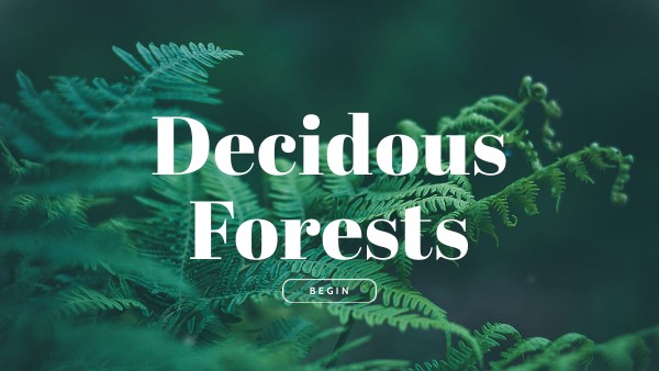 Deciduous Forests