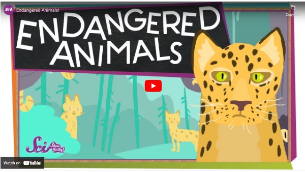 day 2 - hook endangered animals