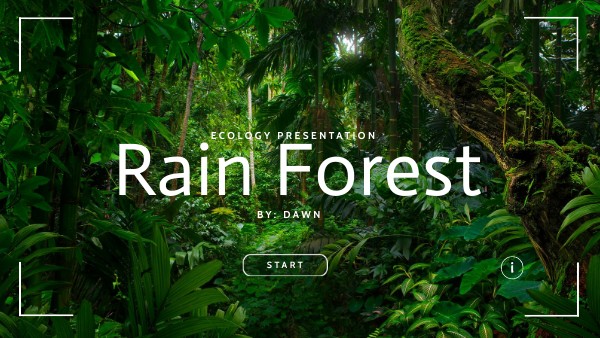 Amazon Rainforest (ecology project)