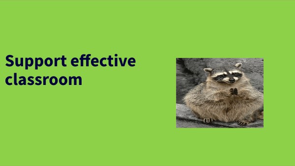 support effective classroom