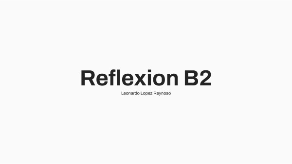 Reflexion b2