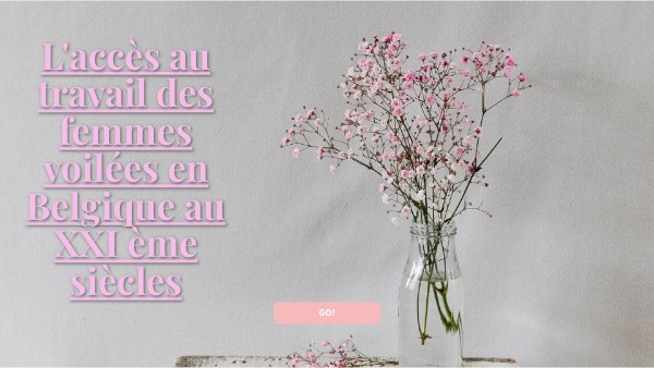 Copie - Copie - BASIC PRESENTATION