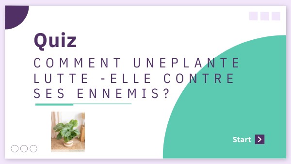 Copie - BASIC SHAPES QUIZ