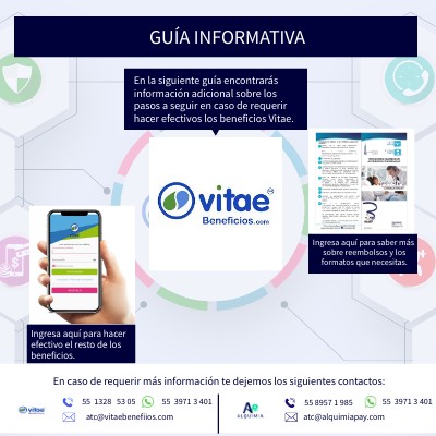 Infografía Viate | Genially