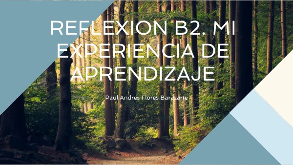 PRESENTACIÓN REFLEXION B2