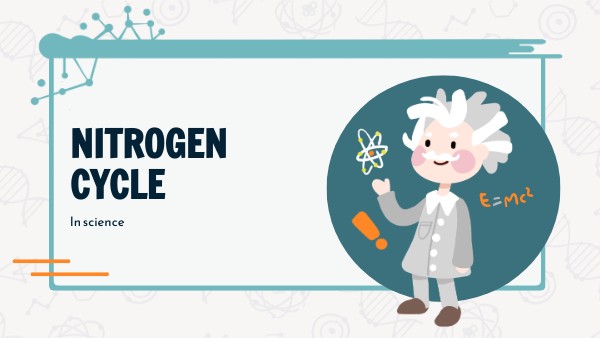 NITROGEN CYCLE