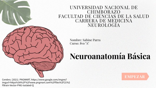NEUROANATOMÍA