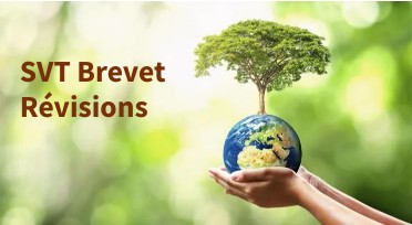 Révisions Brevet SVT | Genially
