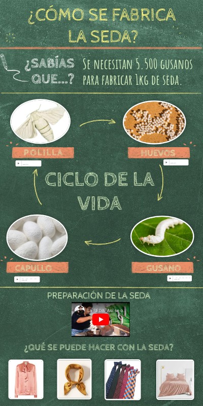 ¿CÓMO SE FABRICA LA SEDA? | Genially