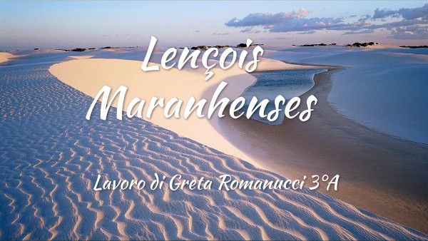 MOUNTAIN GALLERY VIDEO