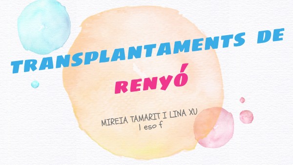transplantaments de renyó