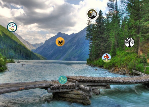 NATURE INTERACTIVE IMAGE